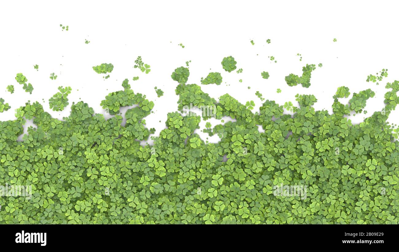 Green clover covering the screen on white background. 3D rendering ...