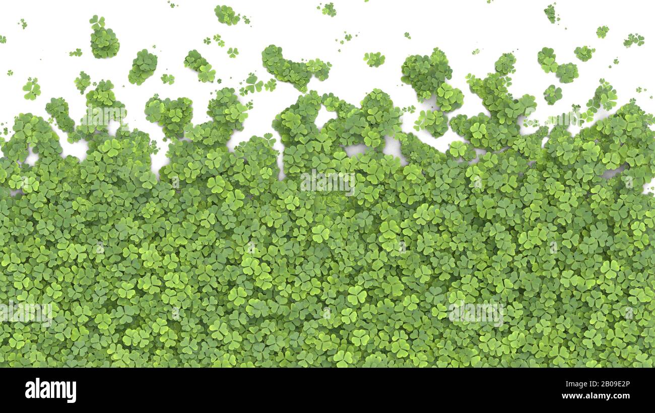 Green clover covering the screen on white background. 3D rendering ...