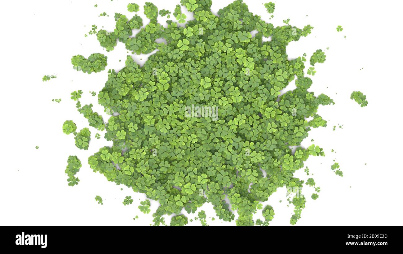 Green clover covering the screen on white background. 3D rendering ...