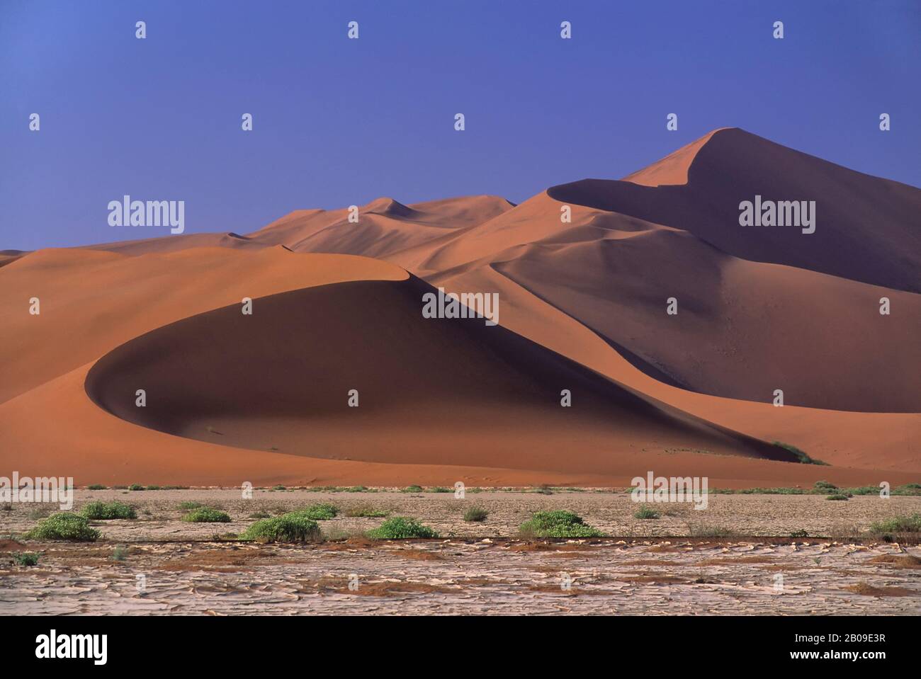 Big daddy namibia hi-res stock photography and images - Alamy