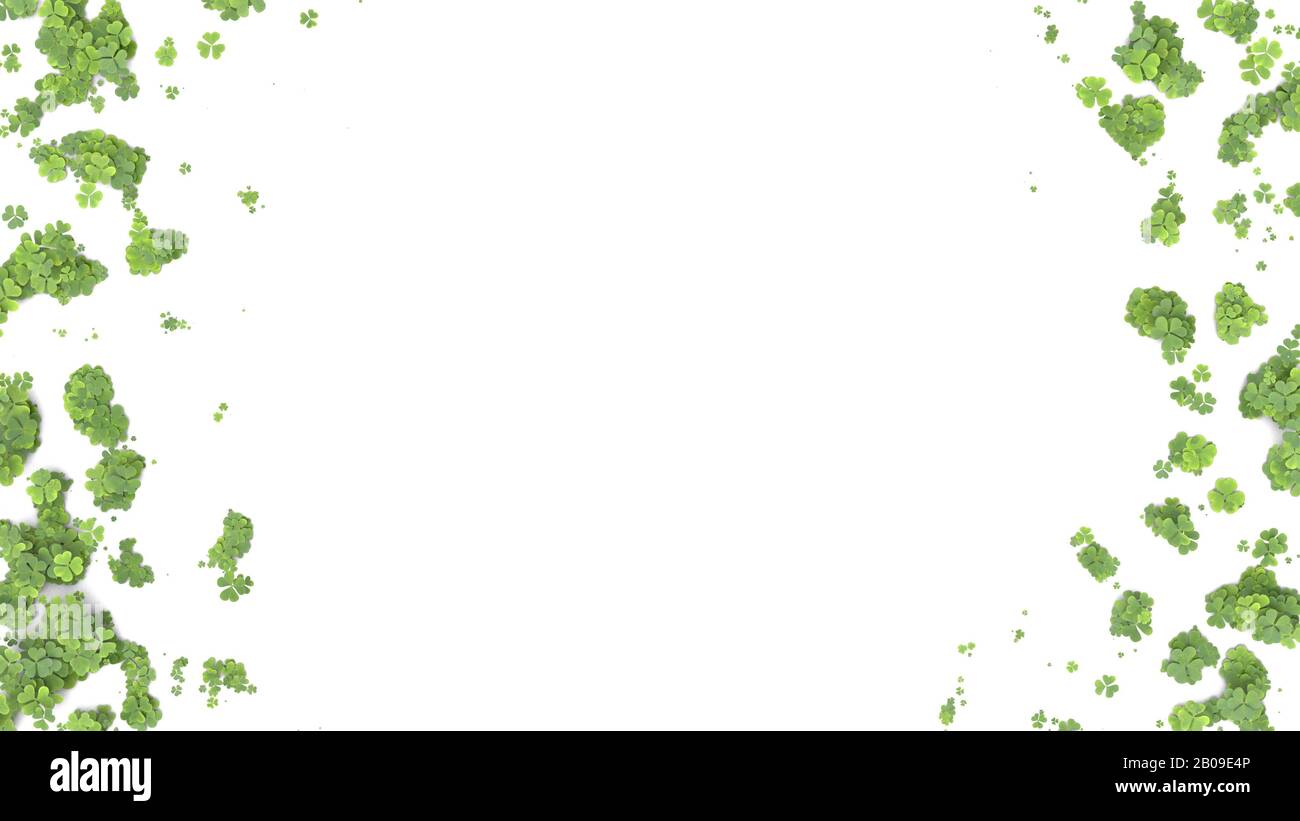 Green clover covering the screen on white background. 3D rendering ...