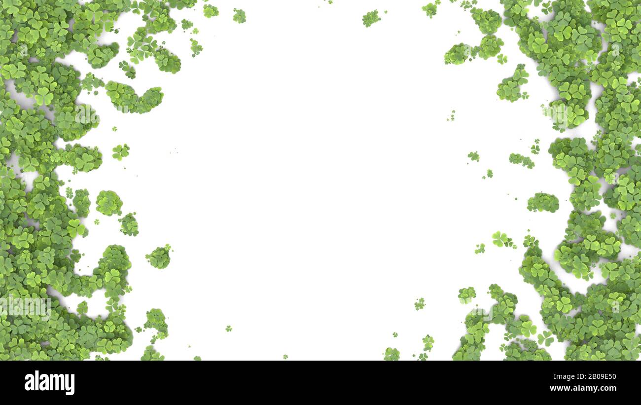 Green clover covering the screen on white background. 3D rendering ...