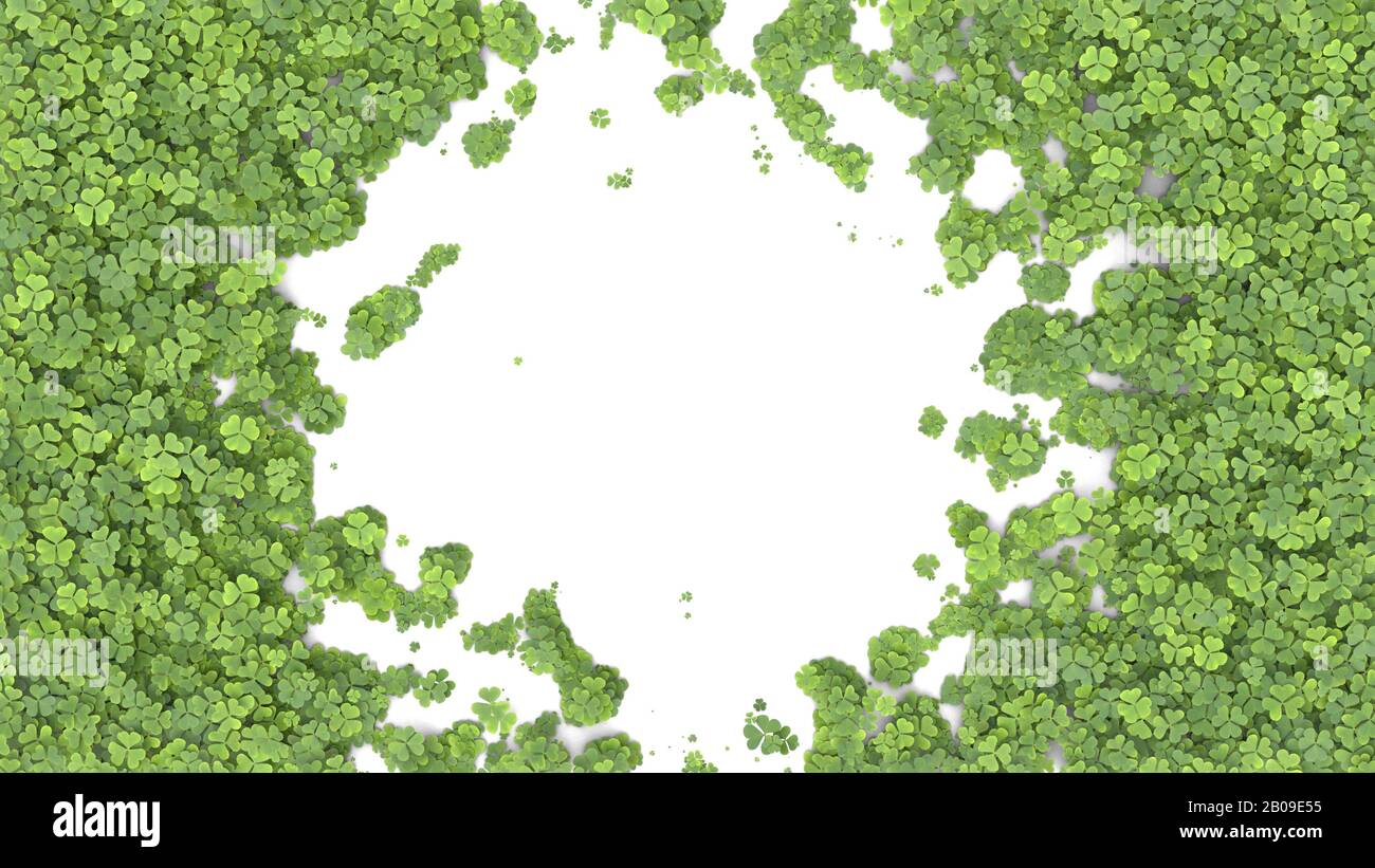 Green clover covering the screen on white background. 3D rendering ...
