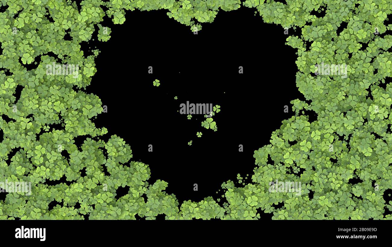 Green clover covering the screen in the shape of a heart on black ...