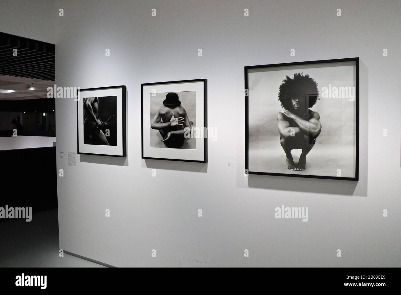 Toxic Models High Resolution Stock Photography and Images - Alamy