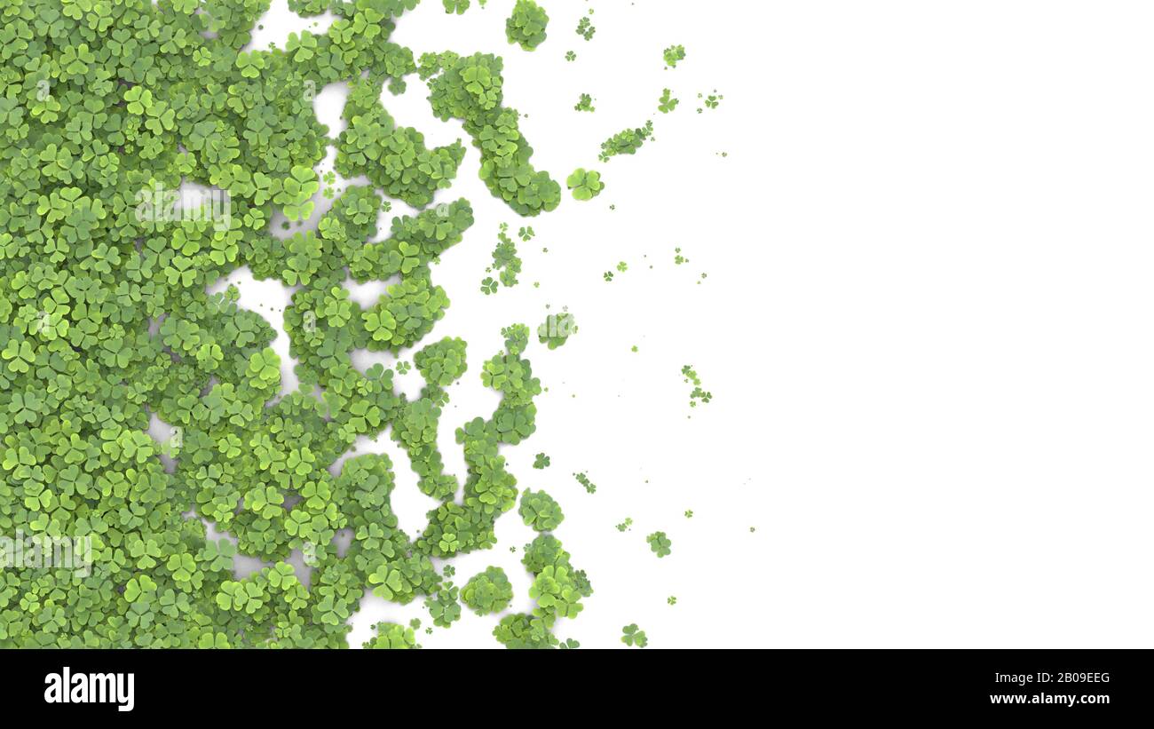 Green clover covering the screen on white background. 3D rendering ...