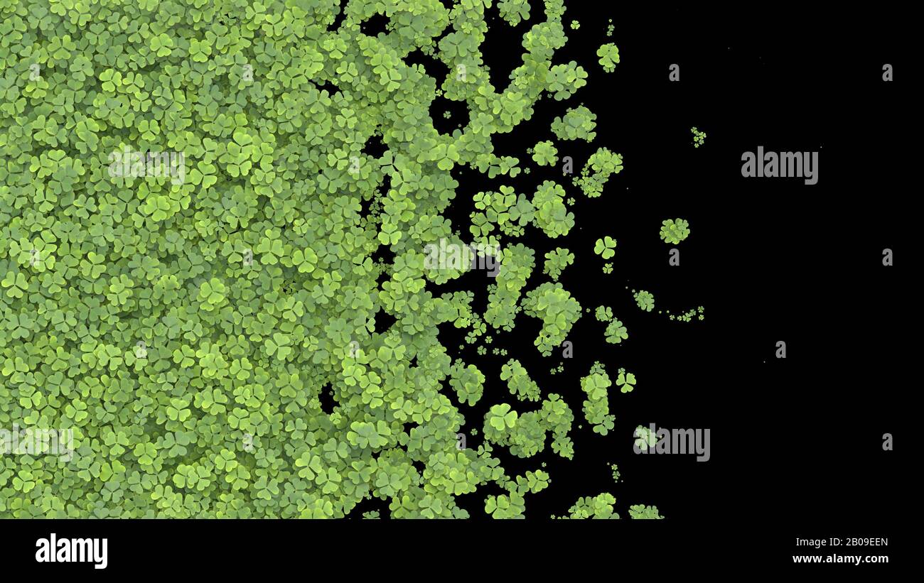 Green clover covering the screen on black background. 3D rendering ...