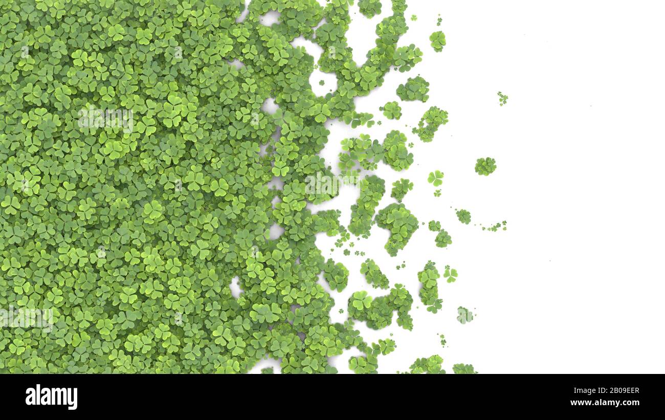 Green clover covering the screen on white background. 3D rendering ...