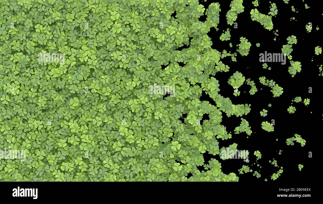 Green clover covering the screen on black background. 3D rendering ...