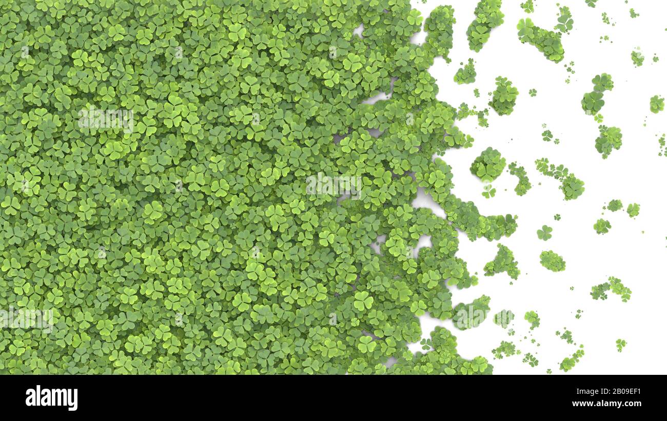 Green clover covering the screen on white background. 3D rendering ...