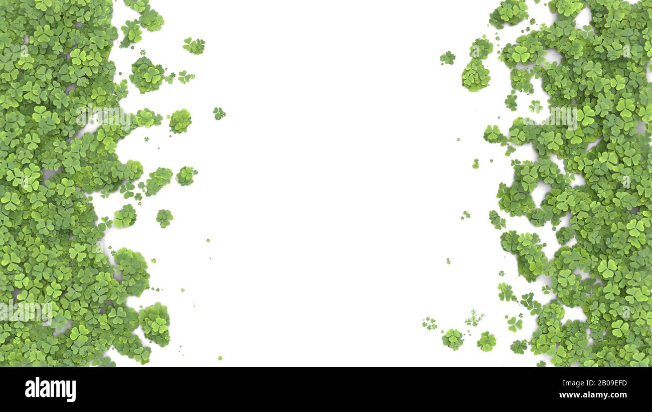 Green clover covering the screen on white background. 3D rendering ...