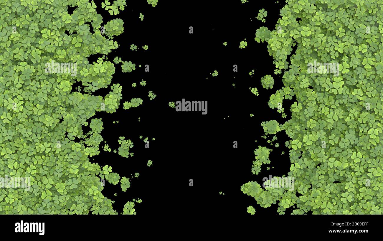 Green clover covering the screen on black background. 3D rendering ...