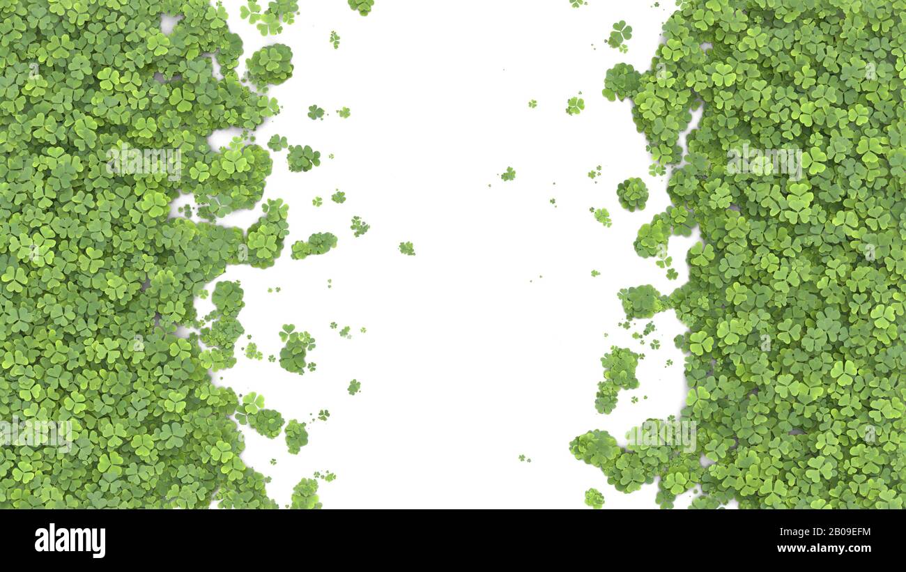 Green clover covering the screen on white background. 3D rendering ...
