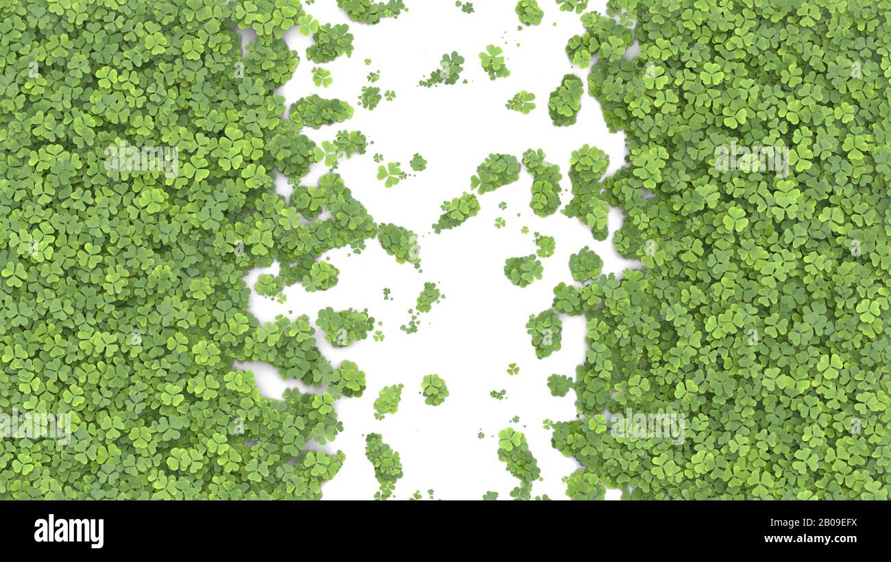 Green clover covering the screen on white background. 3D rendering ...