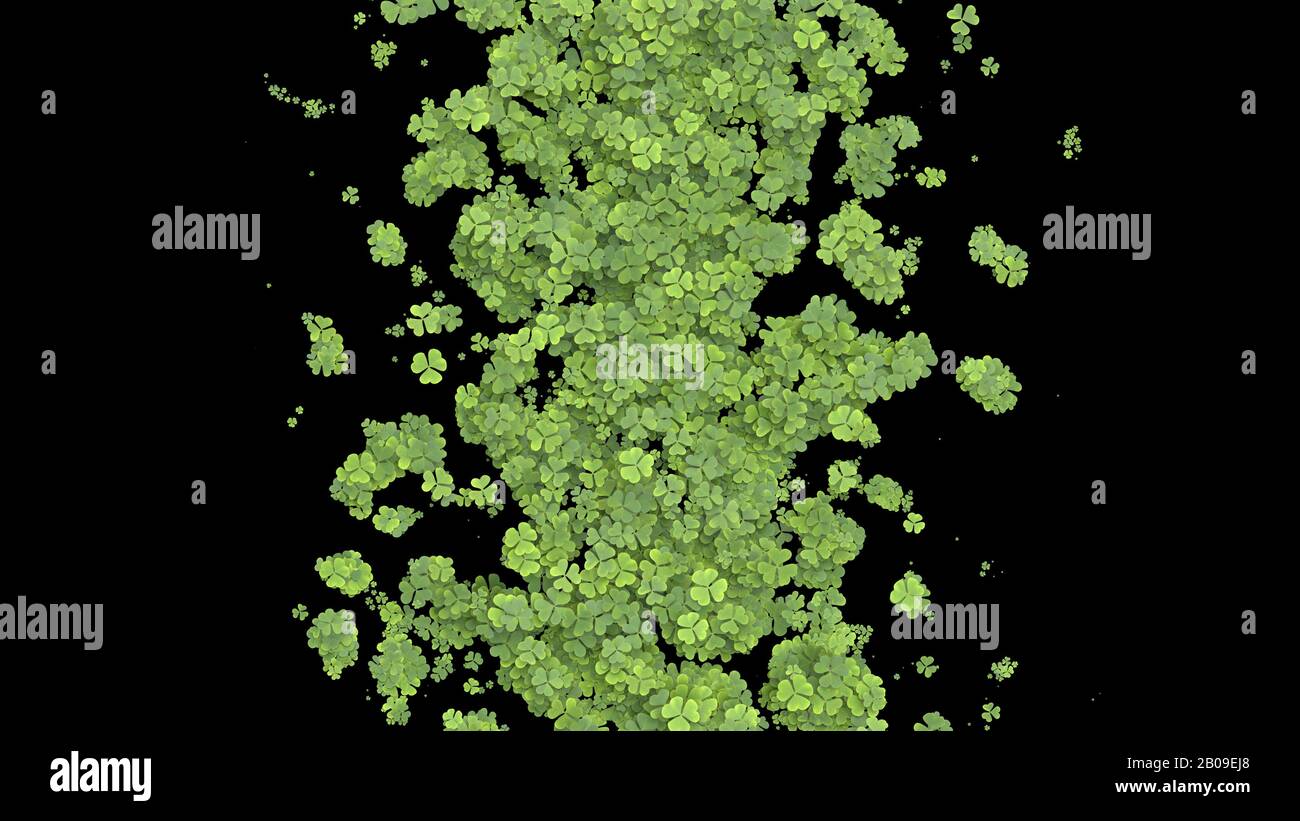 Green clover covering the screen on black background. 3D rendering ...