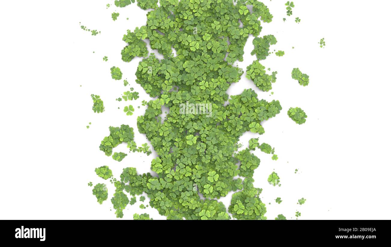 Green clover covering the screen on white background. 3D rendering ...