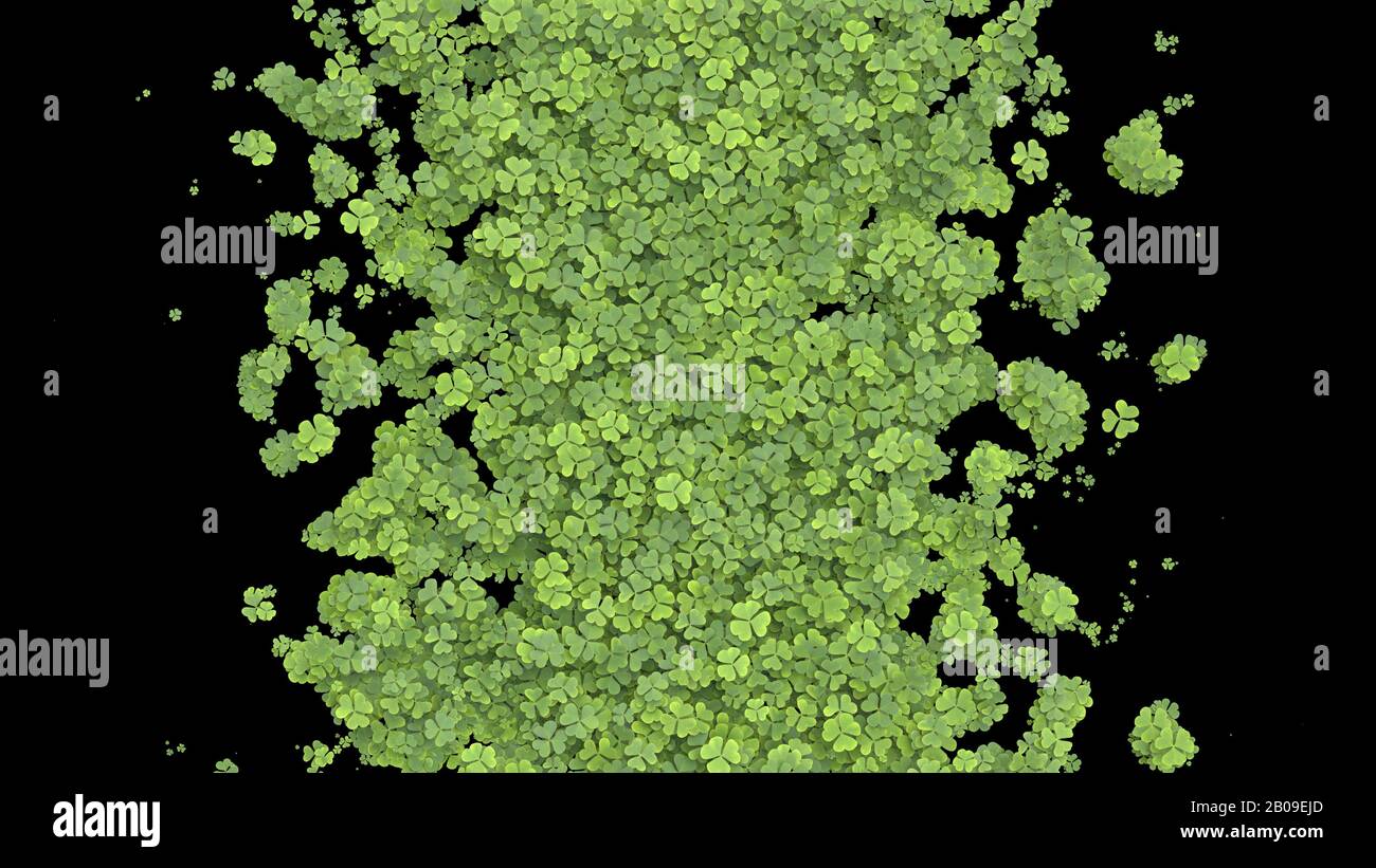 Green clover covering the screen on black background. 3D rendering ...