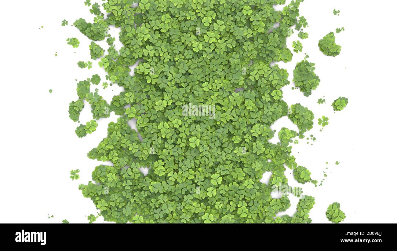 Green clover covering the screen on white background. 3D rendering Stock Photo - Alamy