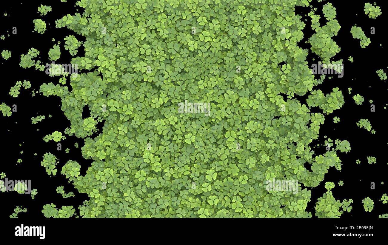 Green clover covering the screen on black background. 3D rendering ...