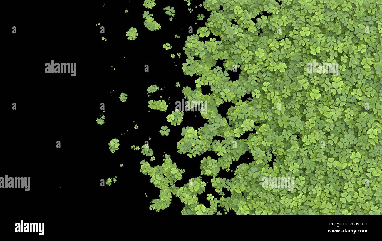 Green clover covering the screen on black background. 3D rendering ...