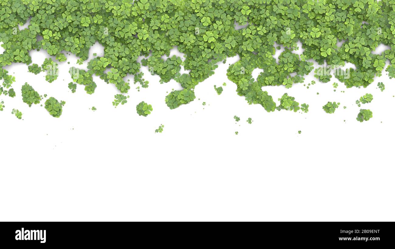 Green clover covering the screen on white background. 3D rendering ...