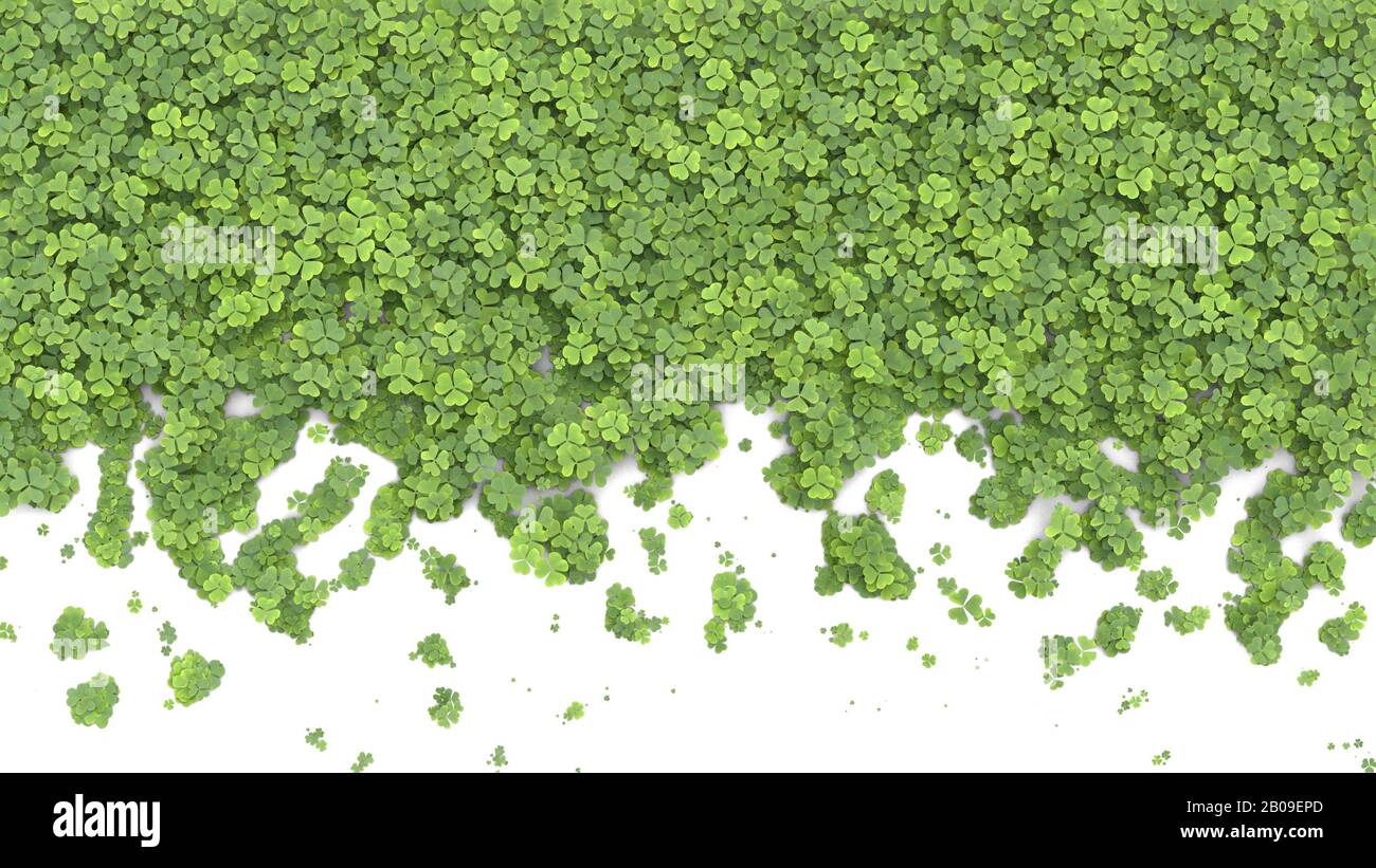 Green clover covering the screen on white background. 3D rendering ...
