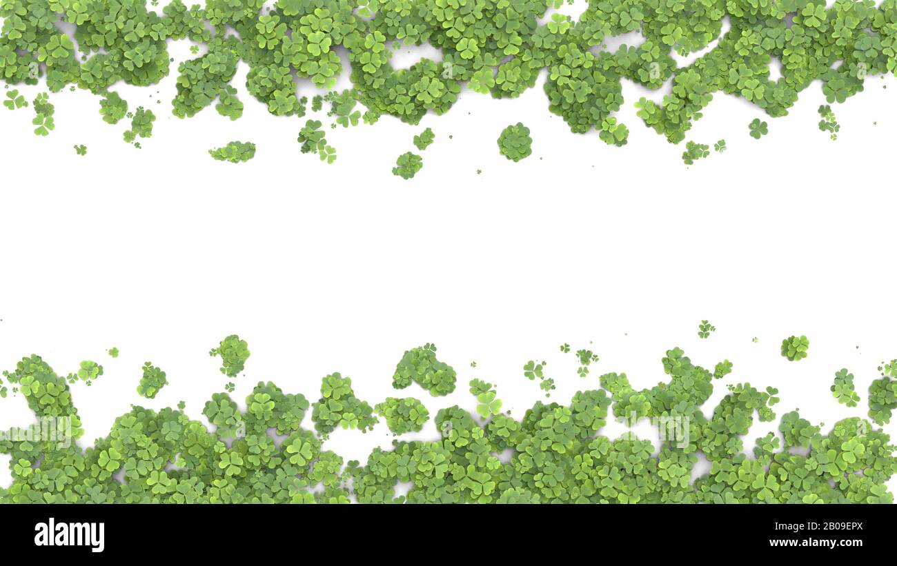 Green clover covering the screen on white background. 3D rendering ...