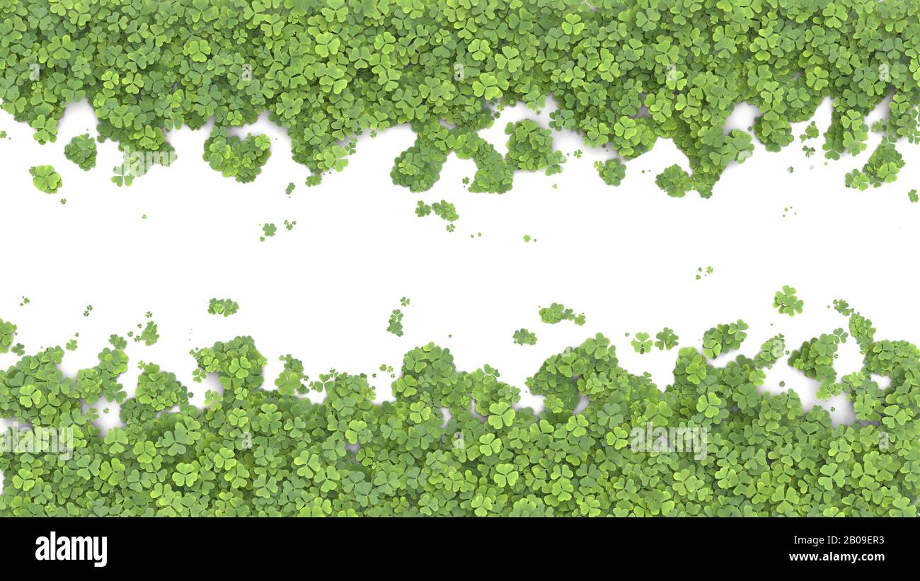 Green clover covering the screen on white background. 3D rendering ...