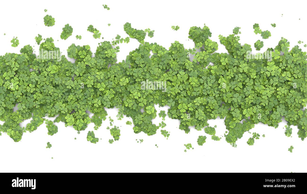Green clover covering the screen on white background. 3D rendering ...