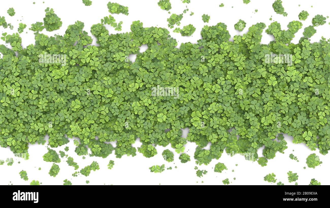 Green clover covering the screen on white background. 3D rendering ...