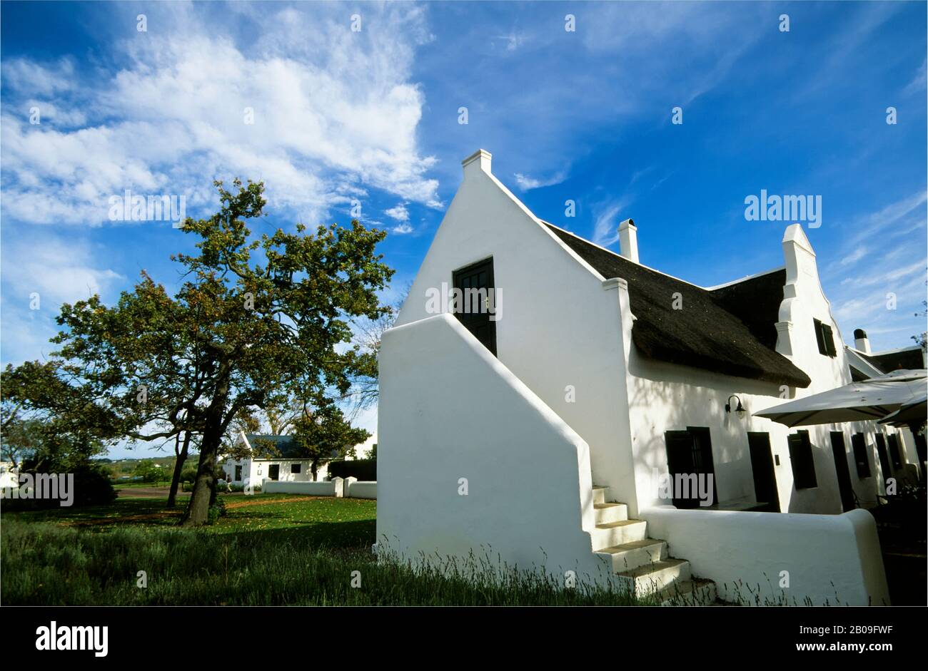SOUTH AFRICA, NEAR CAPE TOWN, STELLENBOSCH WINE COUNTRY, SPIER ESTATE ...