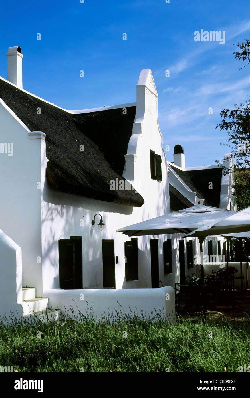 SOUTH AFRICA, NEAR CAPE TOWN, STELLENBOSCH WINE COUNTRY, SPIER ESTATE ...