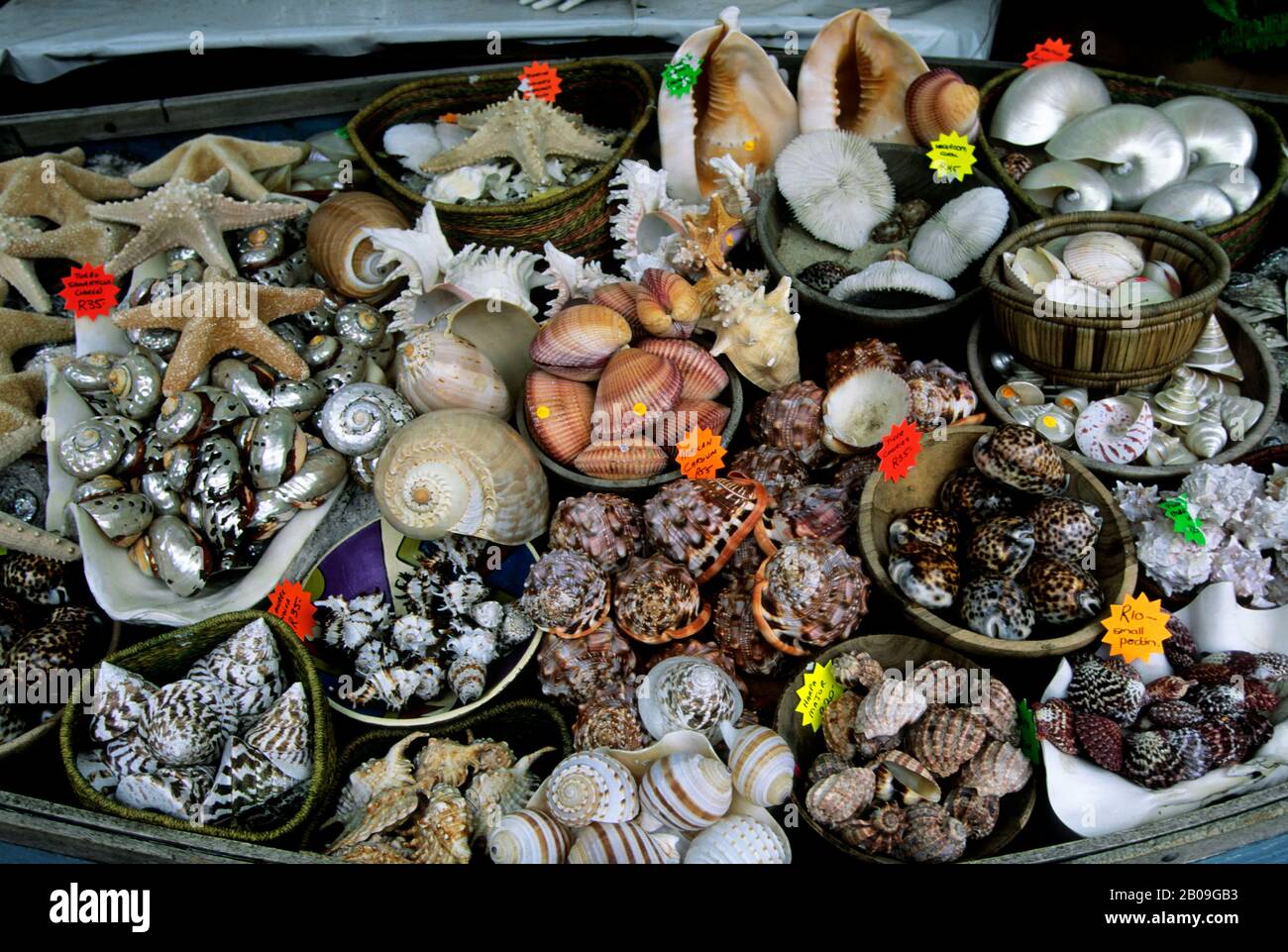 SOUTH AFRICA, NEAR CAPE TOWN, SEASHELLS FOR SALE Stock Photo - Alamy