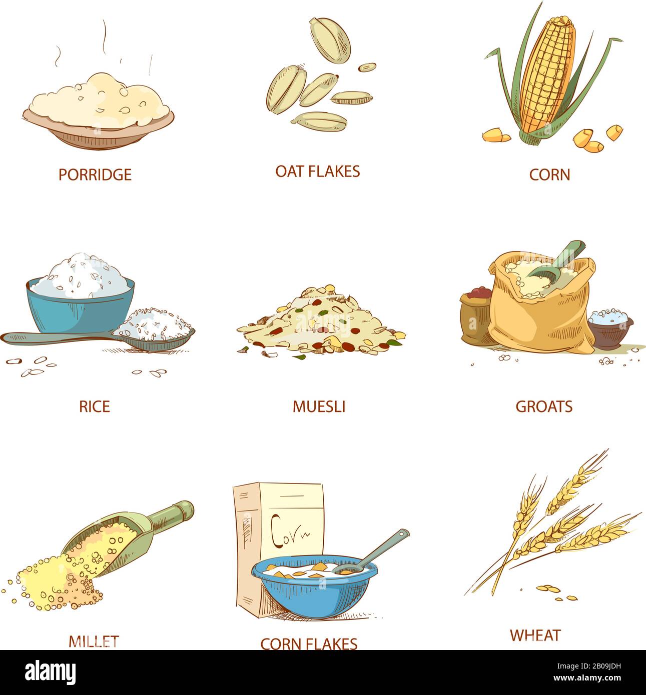 Cartoon ripe ears of cereals, countryside plants vector set. Natural ...