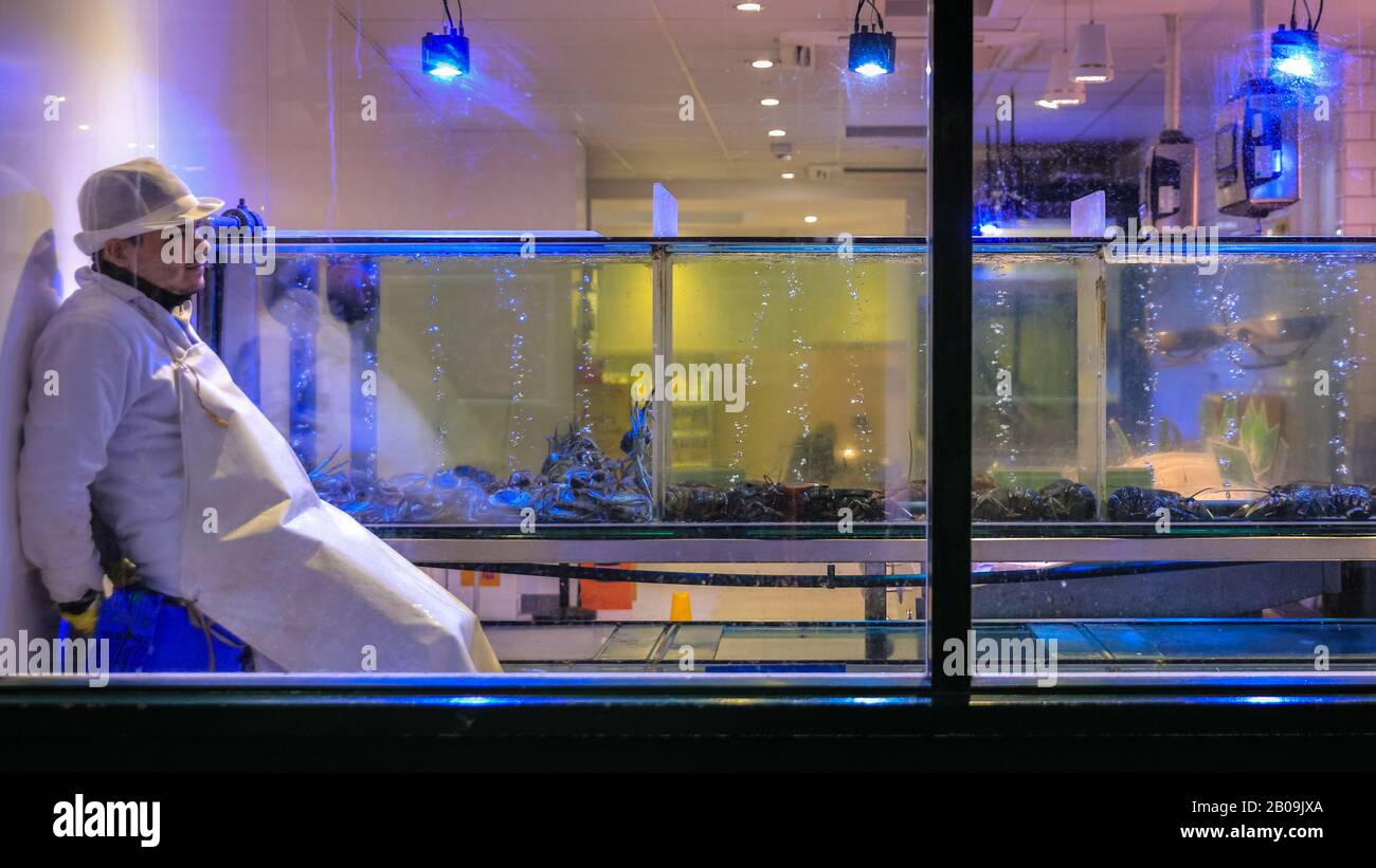 West End, London, UK. 19th Feb, 2020. The lobsters in their aquarium at ...