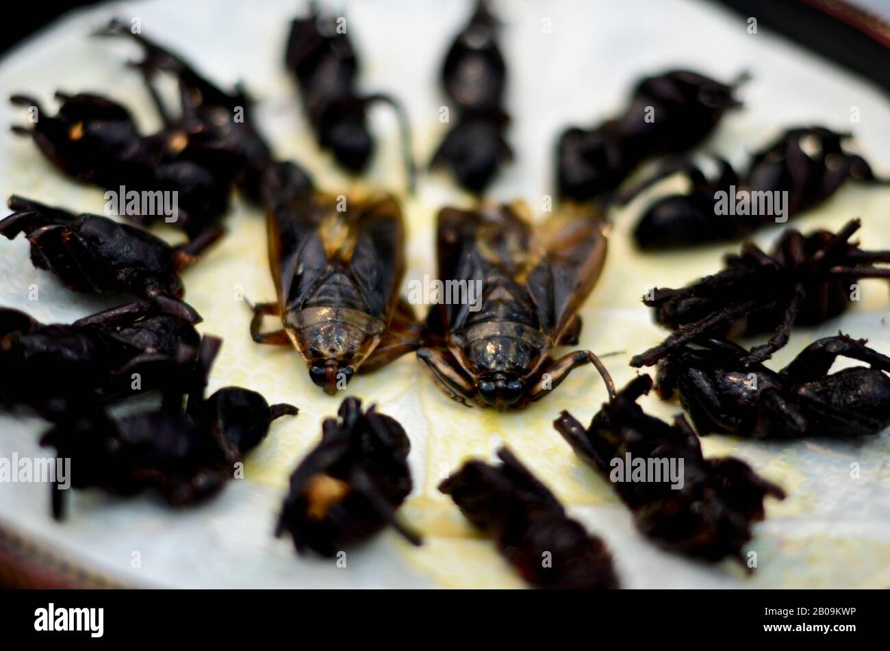 Cambodian delicacy hi-res stock photography and images - Alamy