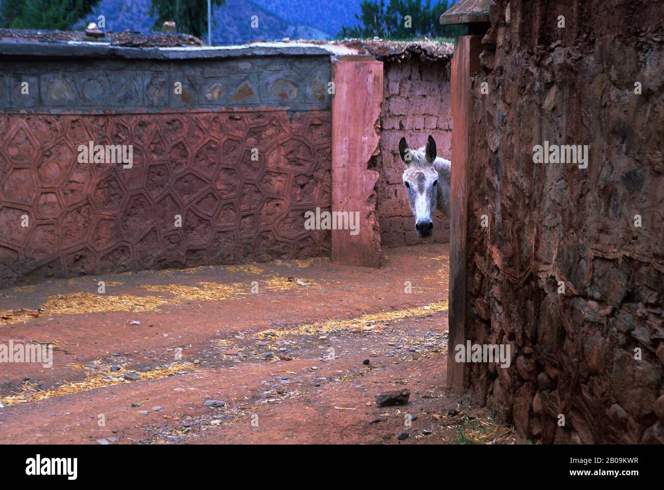 MOROCCO, NEAR MARRAKECH, ATLAS MOUNTAINS, ASNI VALLEY, OUIRGAN VILLAGE ...
