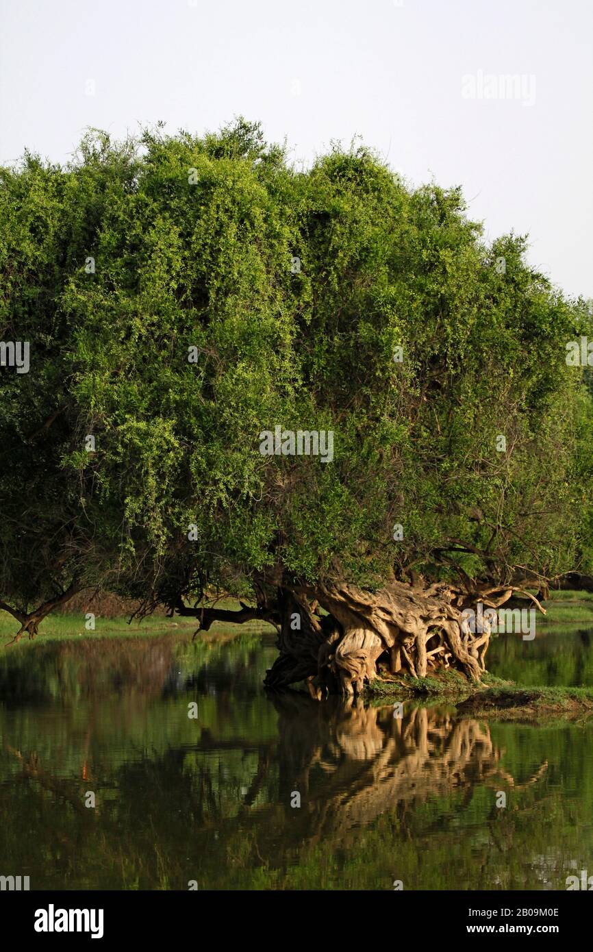 Bathinda india hi-res stock photography and images - Alamy