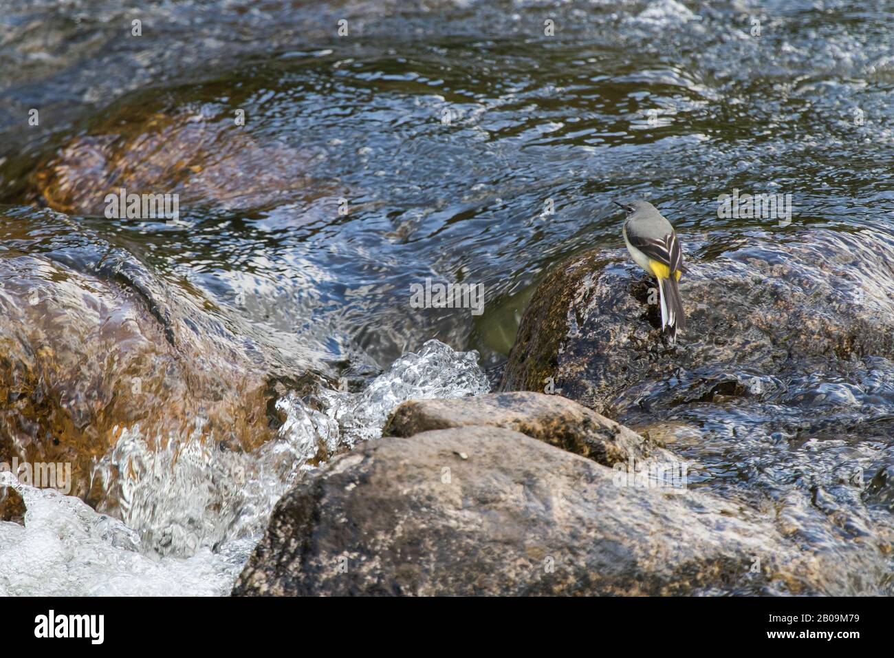 Ruisseaux High Resolution Stock Photography and Images - Alamy