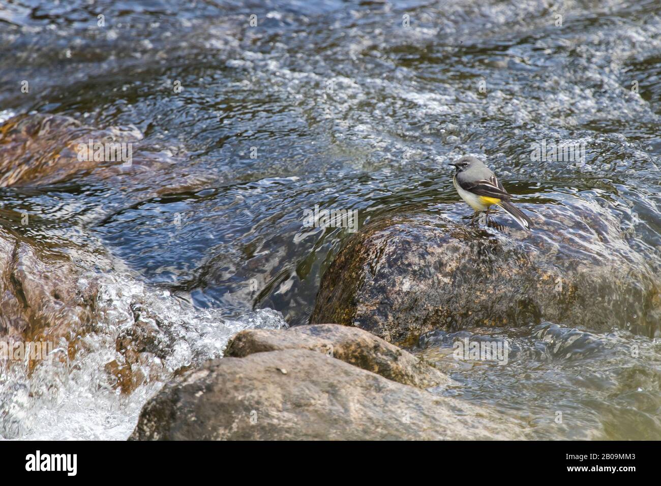 Ruisseaux hi-res stock photography and images - Alamy