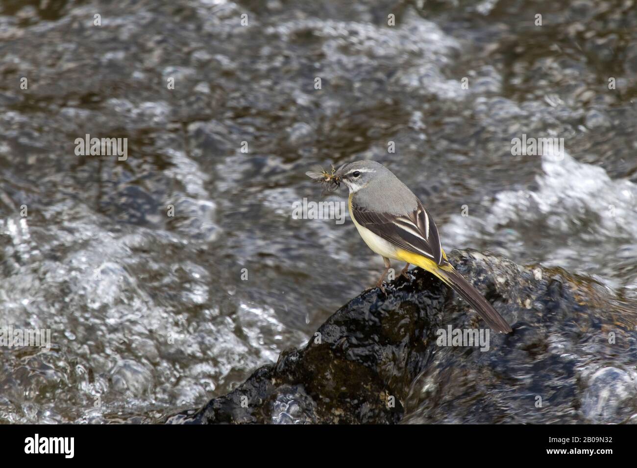 Ruisseaux High Resolution Stock Photography and Images - Alamy