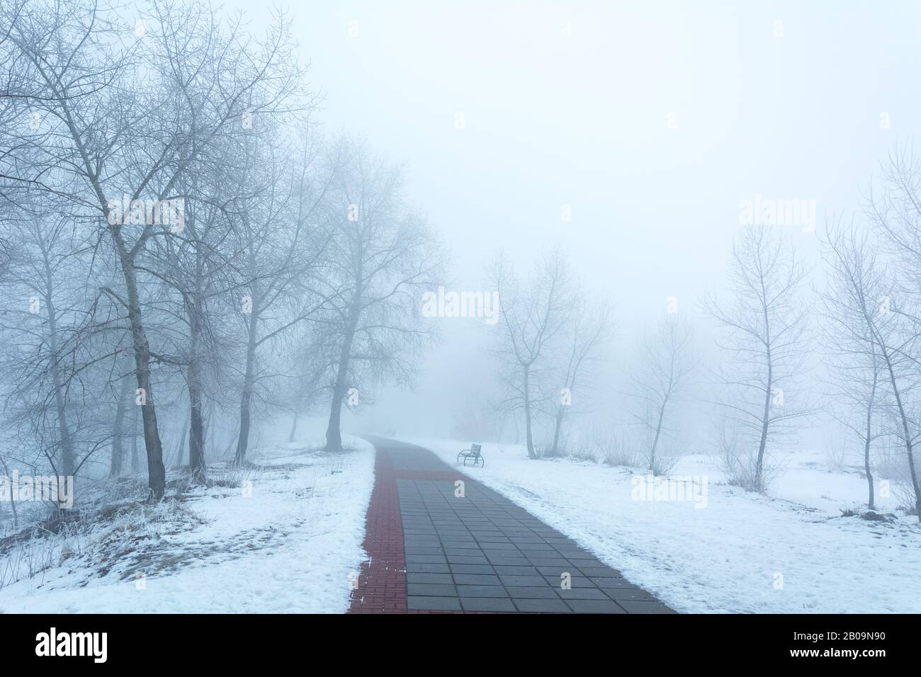 frosted path in the park Stock Photo - Alamy