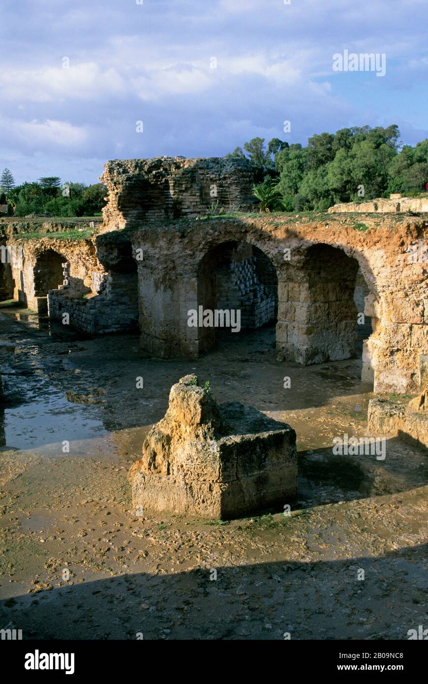 TUNISIA, TUNIS, CARTHAGE, REMAINS OF PHOENICIAN AND ROMAN CITY ...