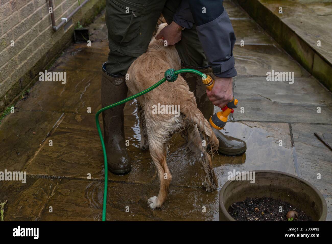 Being hosed down hi-res stock photography and images - Alamy