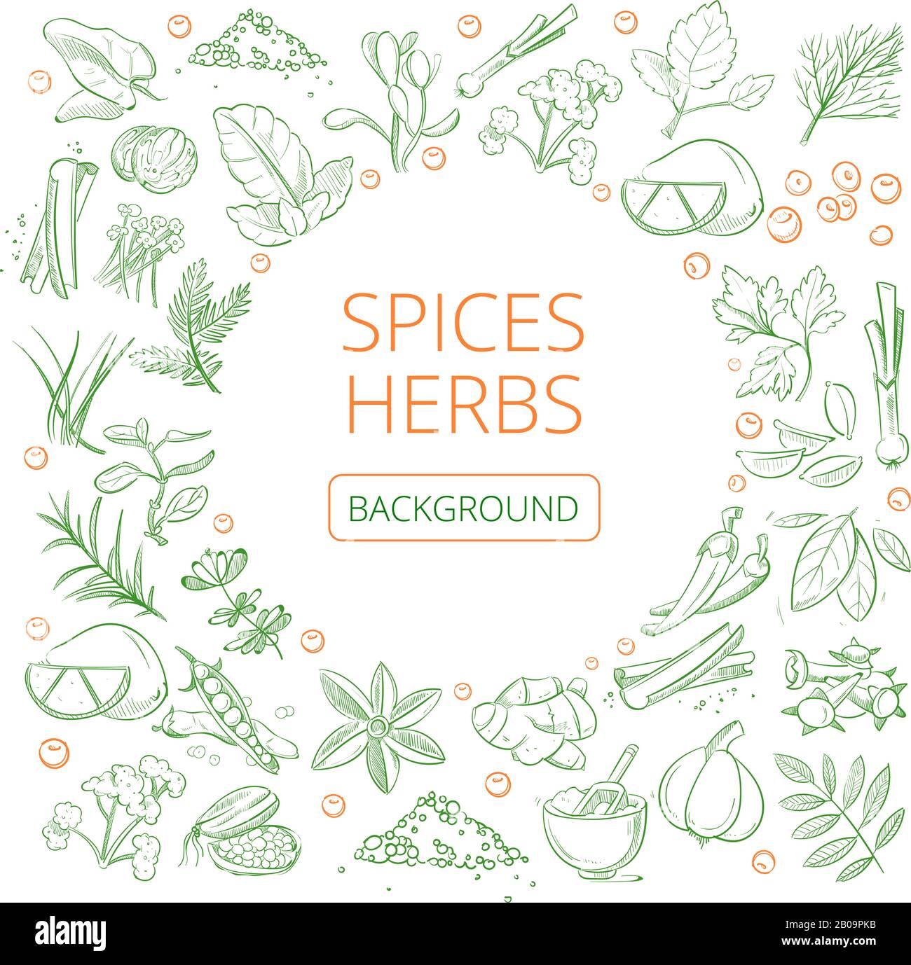 Hand drawn herbs and spices vector healthy natural plants background ...