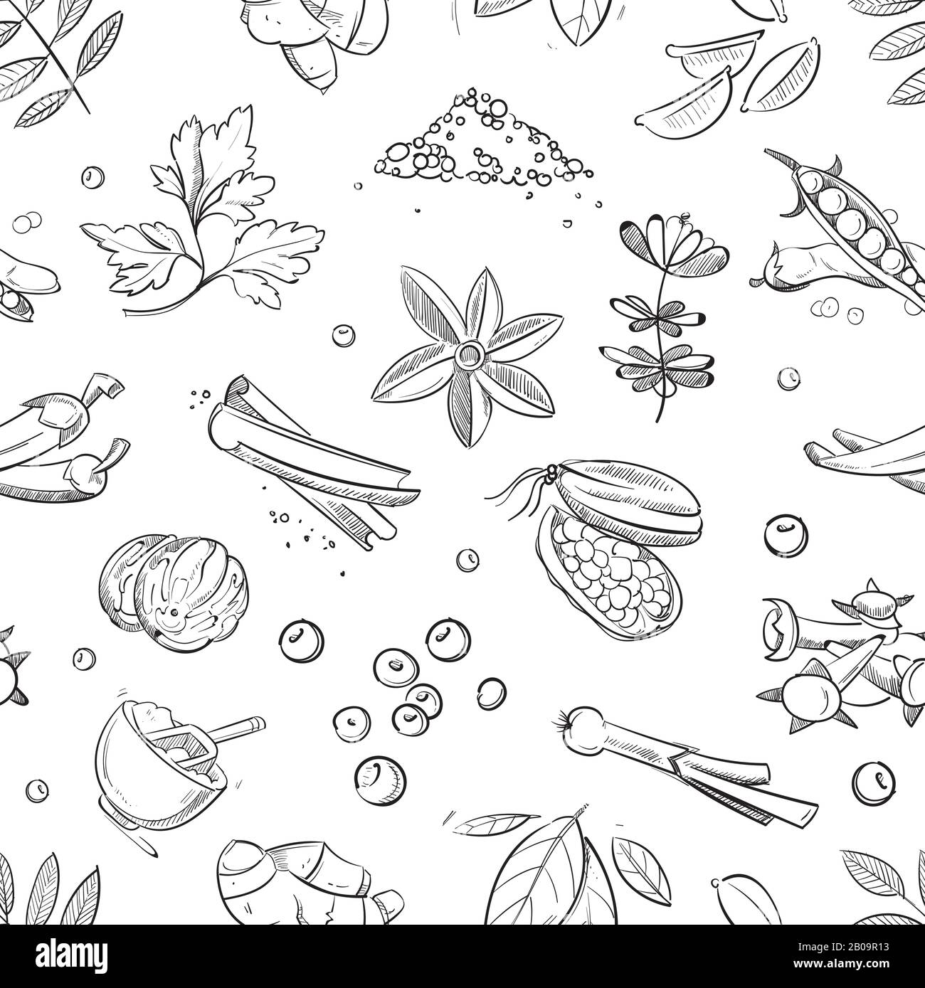 Fresh herbs and spices doodle hand drawn. Vector seamless pattern with herbs and spice ...