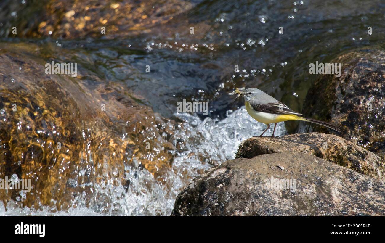 Ruisseaux High Resolution Stock Photography and Images - Alamy