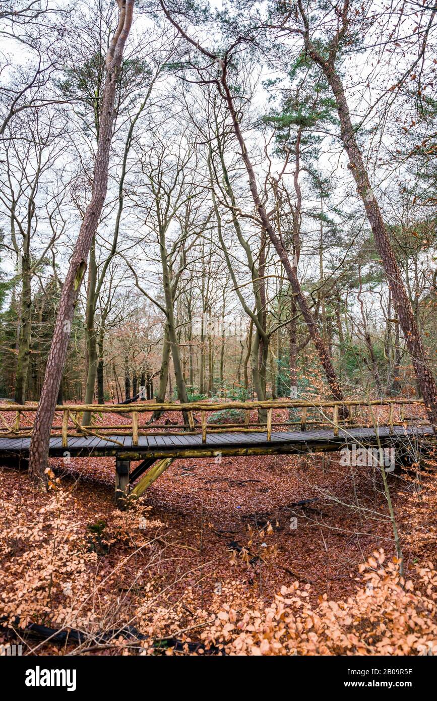Nature park Zeisterbos around Hertenkamp in Zeist, Netherlands Stock ...
