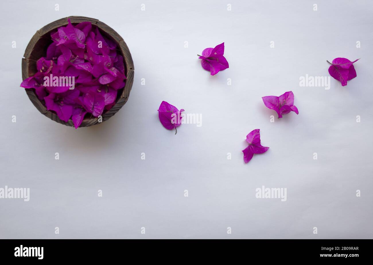 bucket of purple flowers Stock Photo - Alamy