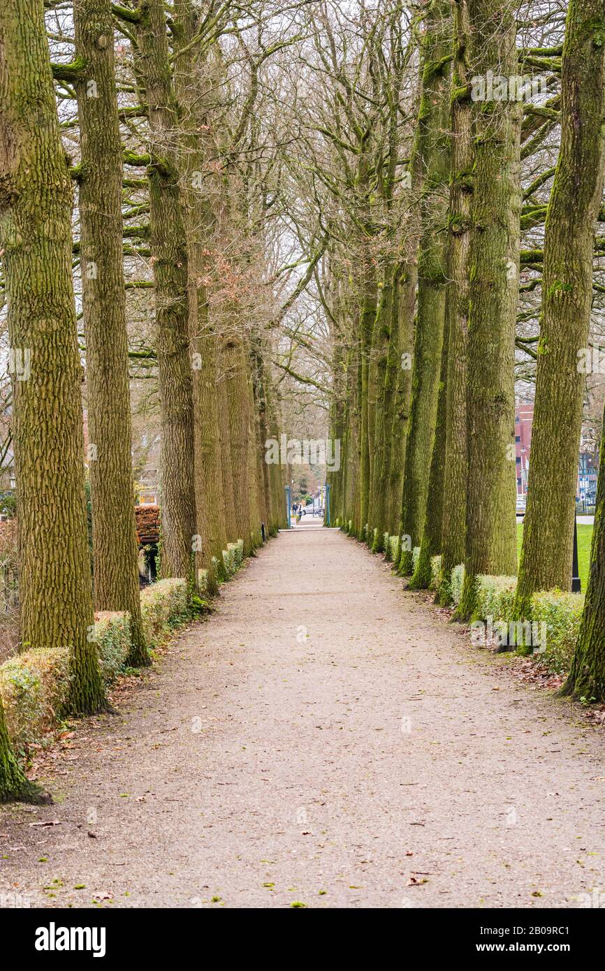 Zeist hi-res stock photography and images - Alamy